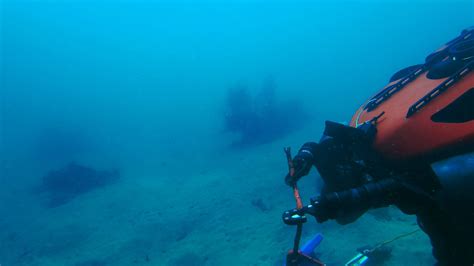 Reach Robotics Defence Engage