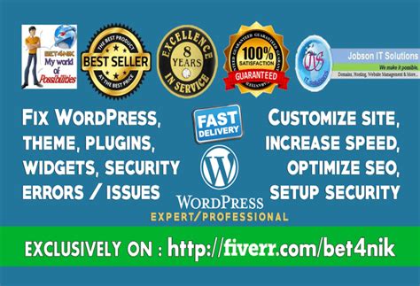 Fix Wordpress Error Build Customize By Bet4nik Fiverr