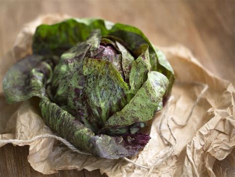 The Ultimate Guide To Lettuce And Salad Green Varieties Artofit
