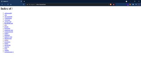 Cómo ejecuto el index php de manera automática al iniciar un proyecto en Laravel Stack