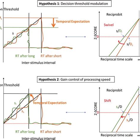 Two Hypotheses About How Temporal Expectation Of Stimulus Modulates Download Scientific Diagram