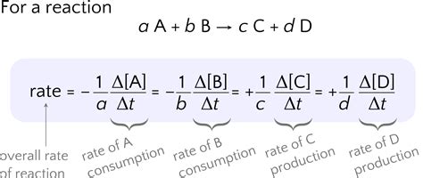 Rate Law Of Chemical Reaction Rate Equation Reaction Steps Cizi