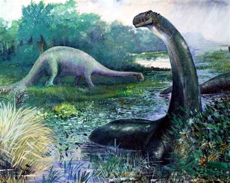 Brontosaurus The Massive Sauropod Dino Digest