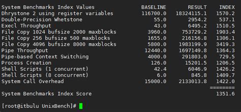 linux vps测评工具 unixbench跑分测试vps性能 老蒋部落