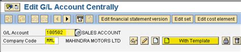 Sap Fico Module Learning Creation Of Gl Master Advance Form Customers