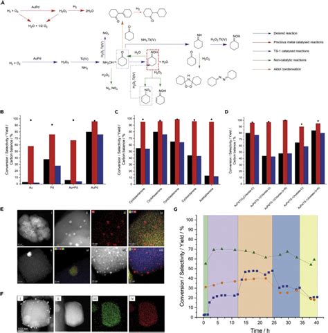 Does In Situ Generated H O Promote Important Industrial Reactions Chem
