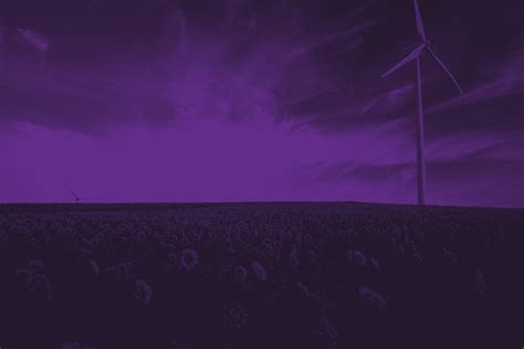 Co2 Savings Calculator Veracity Trust Network