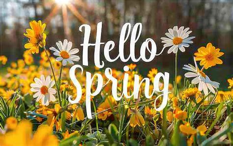 Premium Photo A Picture Of A Flower With The Word Hello Spring On It