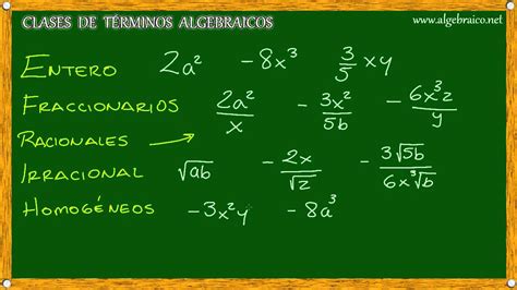 Clases De Términos Algebraicos Youtube