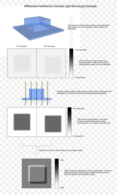 Light Differential Interference Contrast Microscopy Phase Contrast Microscopy Microscope PNG