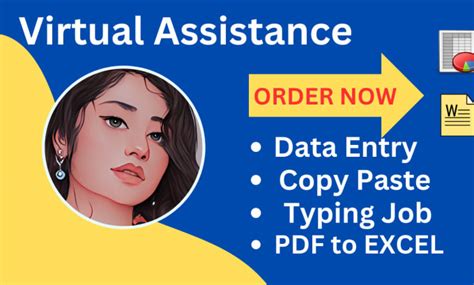 be your excel data entry copy paste virtual assistant for excel