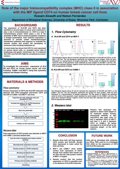 Pdf Role Of Mhc Class Ii In Association With Cd74 On Human Breast Cancer Cell Lines‏