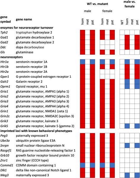 Retracted The Imprinted Lncrna Peg13 Regulates Sexual Preference And The Sex Specific Brain