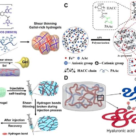 A Schematic Illustration For Preparing Self Healing Hydrogels Of