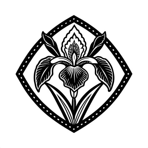 Clivia Nobilis Vectors 60617009 Vector Art At Vecteezy