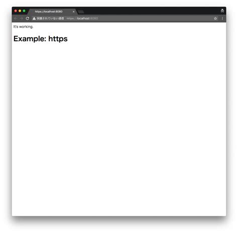 Webpack Dev Server で Tls を利用する ぴんくいろにっき