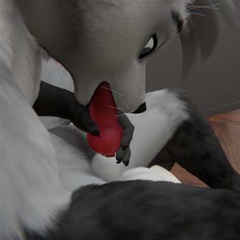 Rule 34 Absurd Res Animal Genitalia Animal Penis Anthro Autofellatio