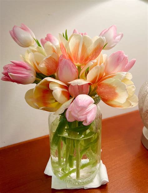 Gallery Mackenzie Hardin Vsco