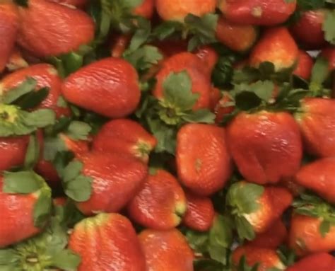 Photo Gallery Quaneesha Blog