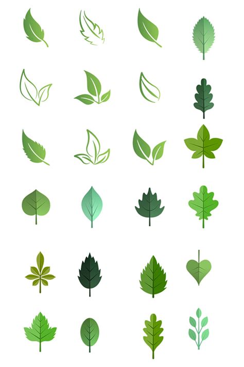 树叶叶子植物矢量元素