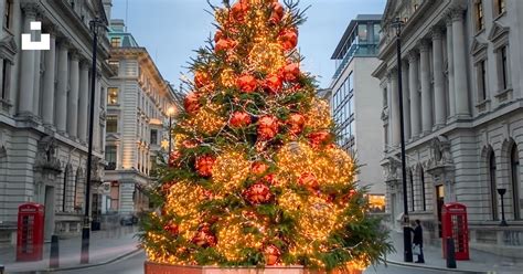 회색 콘크리트 바닥에 녹색과 빨간색 크리스마스 트리 사진 Unsplash의 무료 영국 이미지