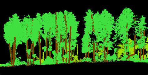 application of cygnus slam scanner in forestry surveys geo matching