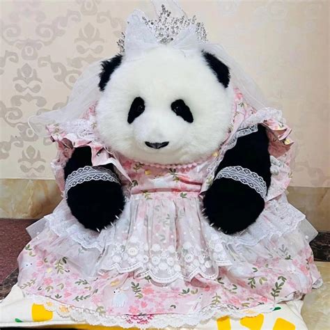 Princess Outfit Set For 6 Month Old Hehua Panda Panda Factory Shop