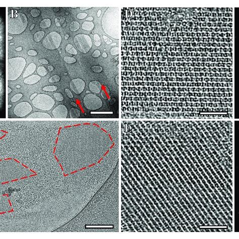 Figure A4 Example Of Dps Dna Bundles In Sample 2 A C Cryo Em Download Scientific Diagram