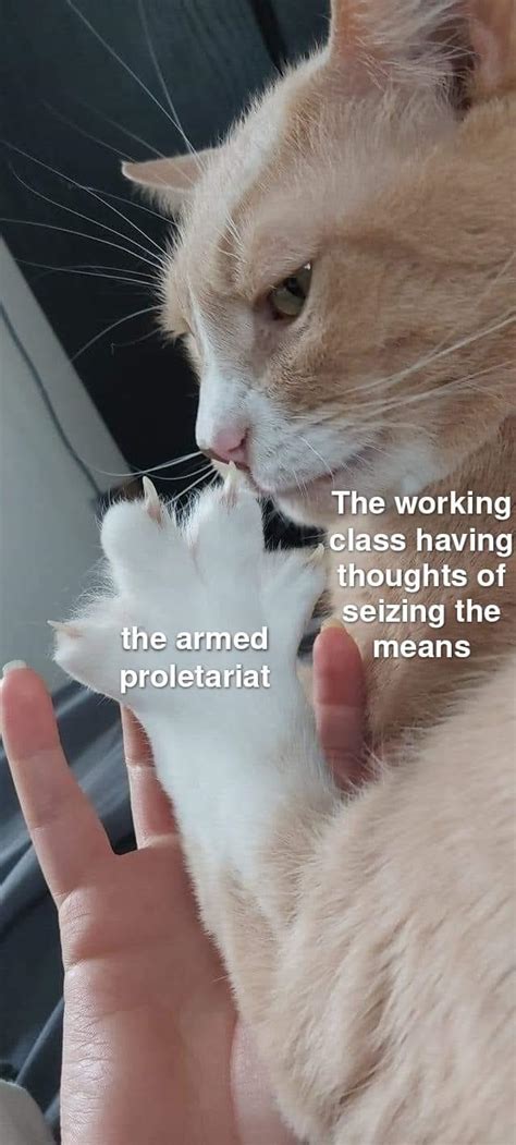 Comrade Kitty Rsendinthetanks