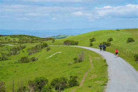 The Nimitz Trail