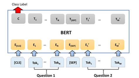 Bert Model Used For Question Pair Similarity Classification Task Download Scientific Diagram