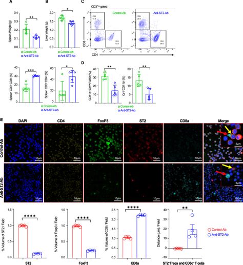 St2il 33 Axis Blockade Inhibits Regulatory T Cell Cytotoxicity Towards