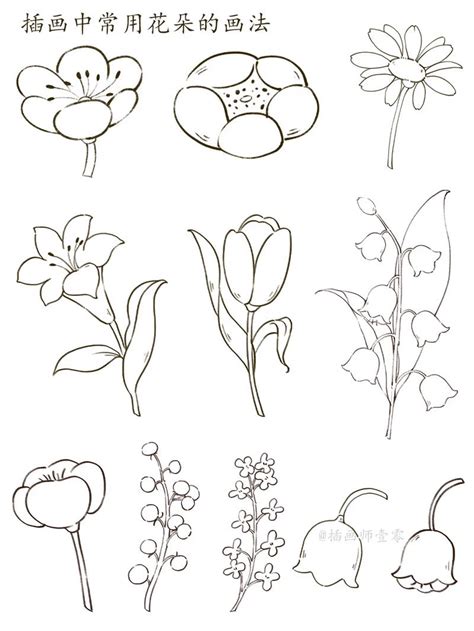 100种花的简笔画图片大全 100种花的简笔画图片大全大图 画趣文库（我爱生活）