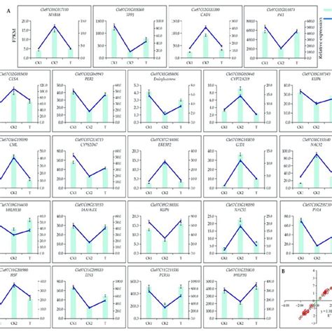 transcriptomic data were validated using qpcr a gene expression