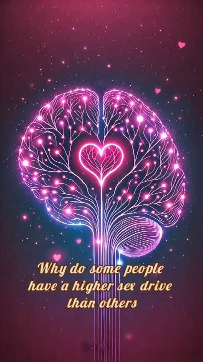 Why Do Some People Have A Higher Sex Drive Than Others Rtmz8 Love