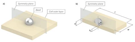 Finite Element Modeling Of Cells Adhering To A Substrate An Overview