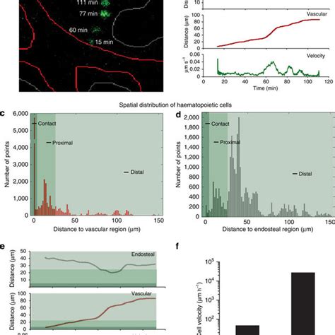 Computational Image Analysis Of Spatial Dynamics A Automated Download Scientific Diagram