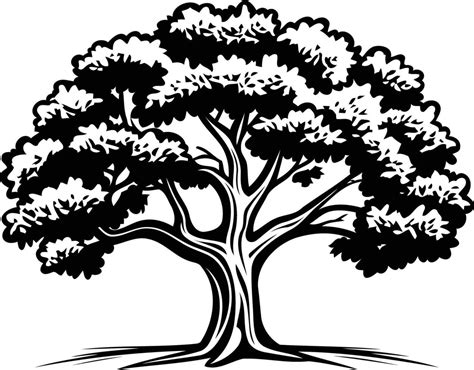 Tree Clipart Black And White Free Infoupdate Org