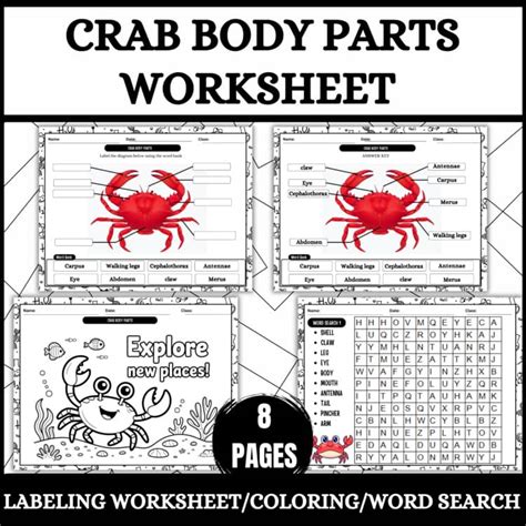 Crab Anatomy Labeling Worksheet Parts Of Crab Diagram Word Search