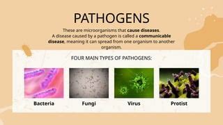 Pathogens And Communicable Diseases Education Presentation In Light
