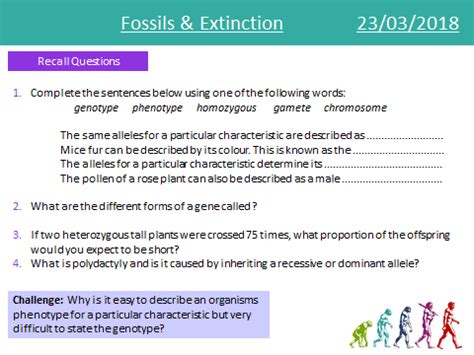 Fossils Extinction Teaching Resources