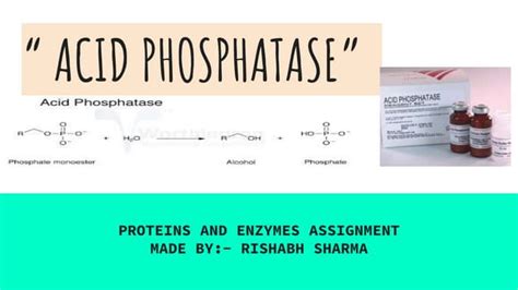 Acid Phosphatase Proteins And Enzymes Assignment Pptx