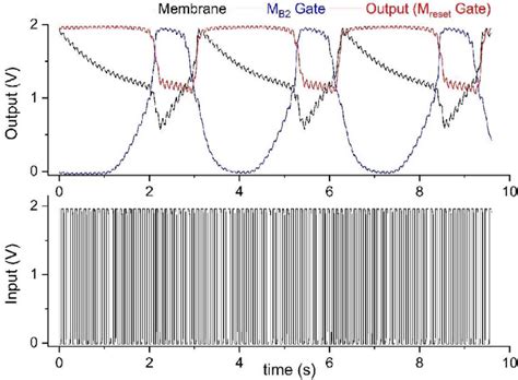 Simulated Input And Resulting Membrane Black Reset Blue And Output