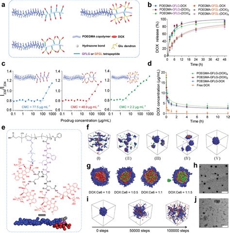 physicochemical characterization and dissipative particle dynamics