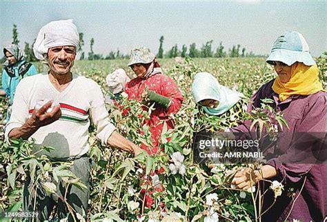 Tenant Farmers Photos And Premium High Res Pictures Getty Images