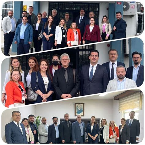 Sibel Gultekin Karagoz Posted On Linkedin