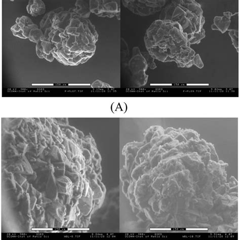 Pdf Dem Modeling Of High Shear Wet Granulation Of A Simple System