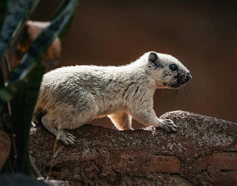 Nangisexypicture Photos Download The Best Free Nangisexypicture