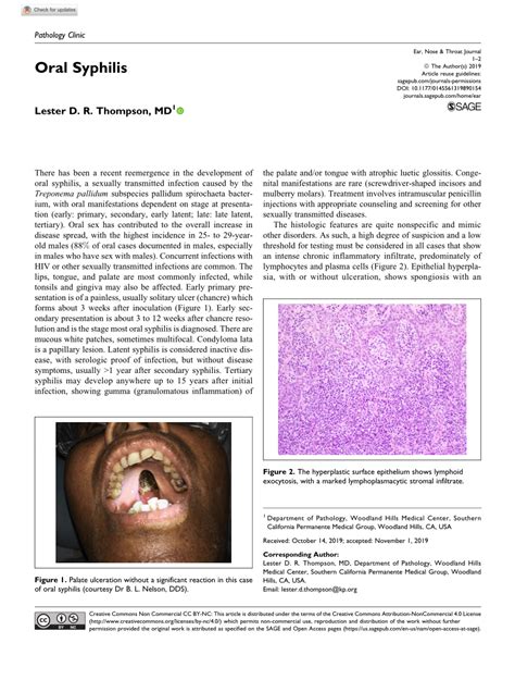 Pdf Oral Syphilis