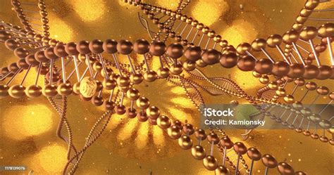 Dna 분자의 소용돌이와 황금 기하학적 배경 3d 렌더링 0명에 대한 스톡 사진 및 기타 이미지 0명 Dna 가꿔주기